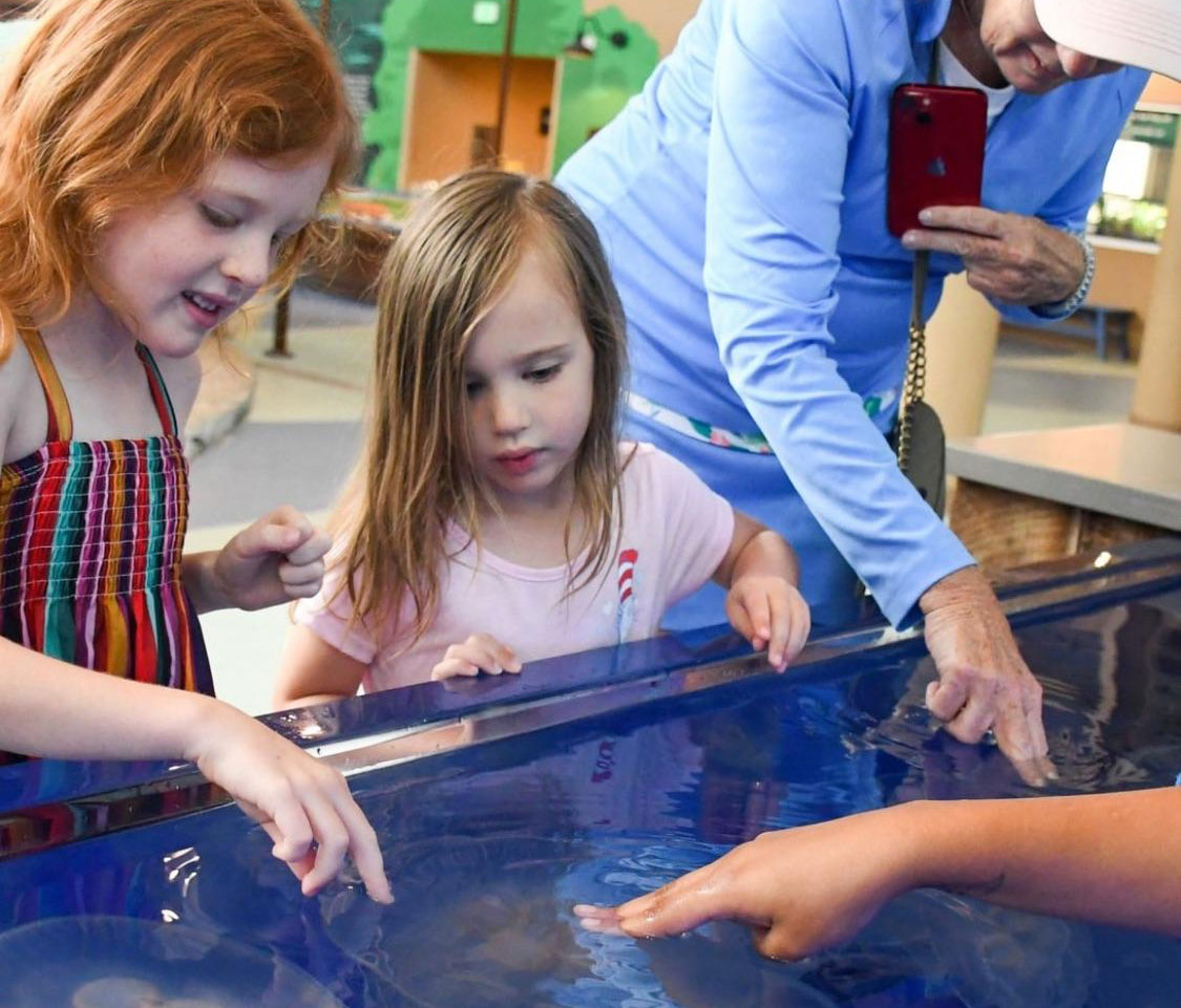 Noon Year's Eve at the St. Louis Aquarium at Union Station | stlparent.com