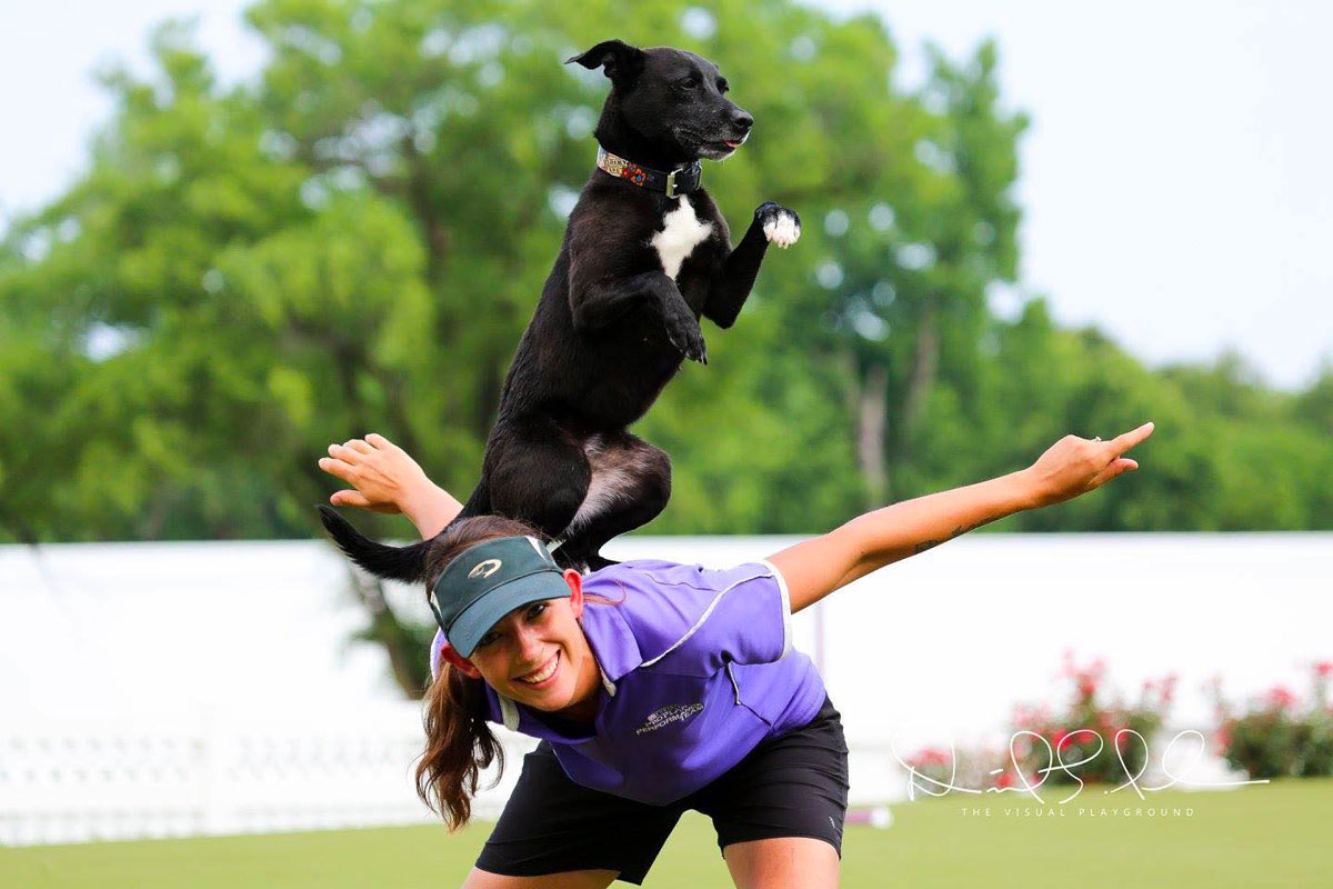 Explore Purina Farms: Animal Connections | stlparent.com