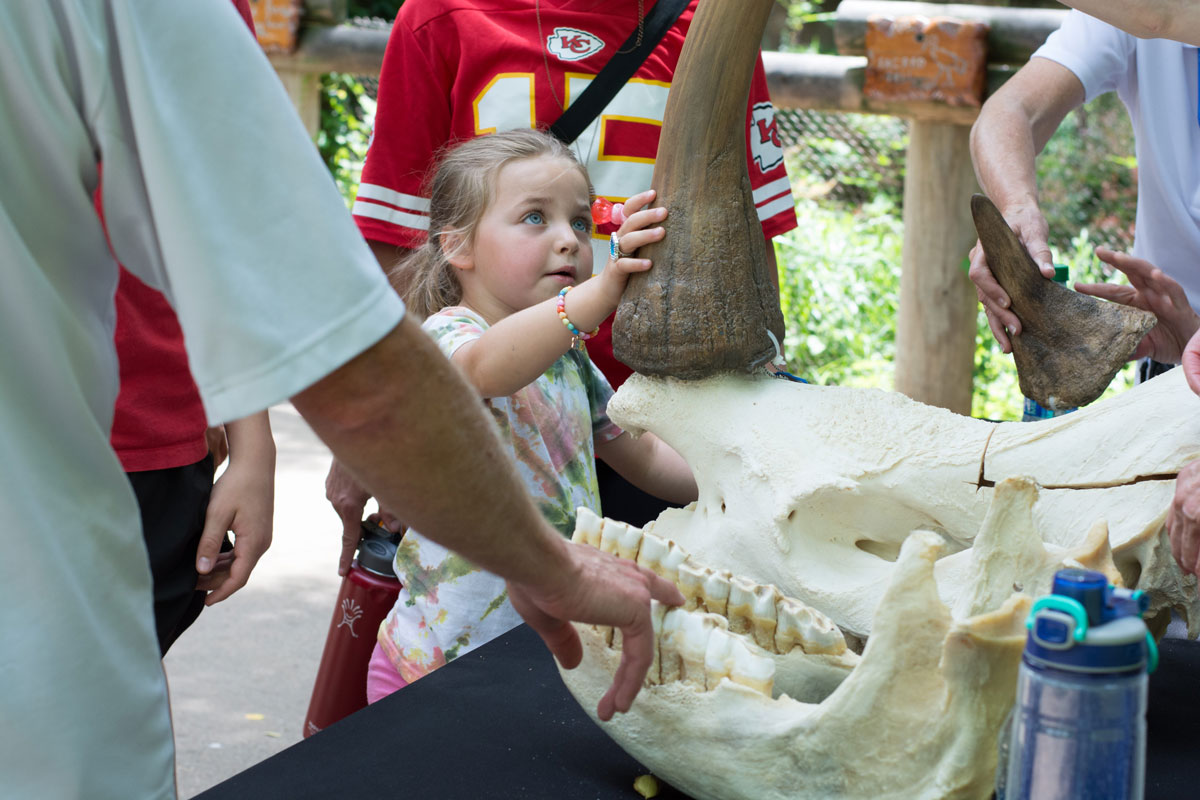 Endangered Species Day at the Saint Louis Zoo | stlparent.com