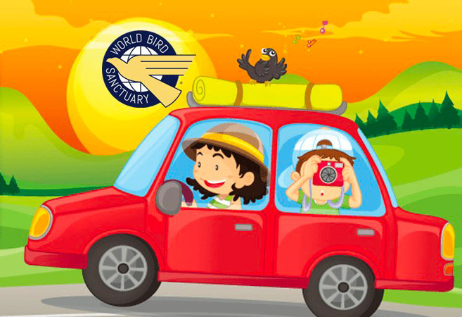 World Bird Sanctuary Dinner and Drive-Thru Safari Experience ...