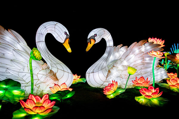 Animals Aglow at the Saint Louis Zoo | stlparent.com