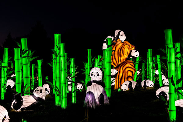 Animals Aglow at the Saint Louis Zoo | stlparent.com